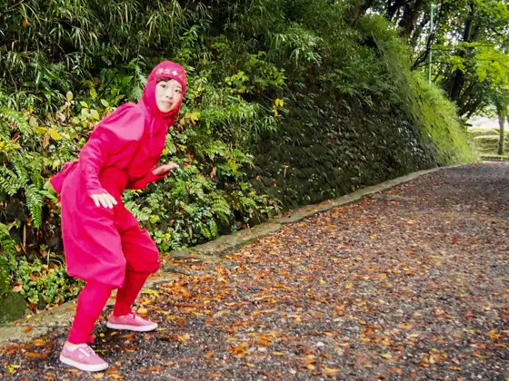 Transform into a Ninja and look around the city of Iga, guided private tour